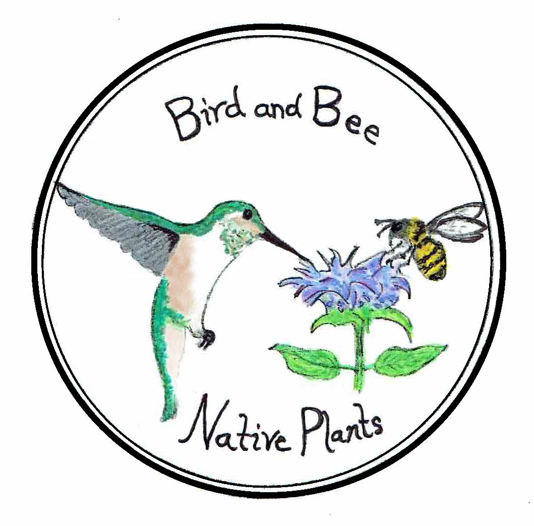 Plant List | Bird and Bee Native Plants